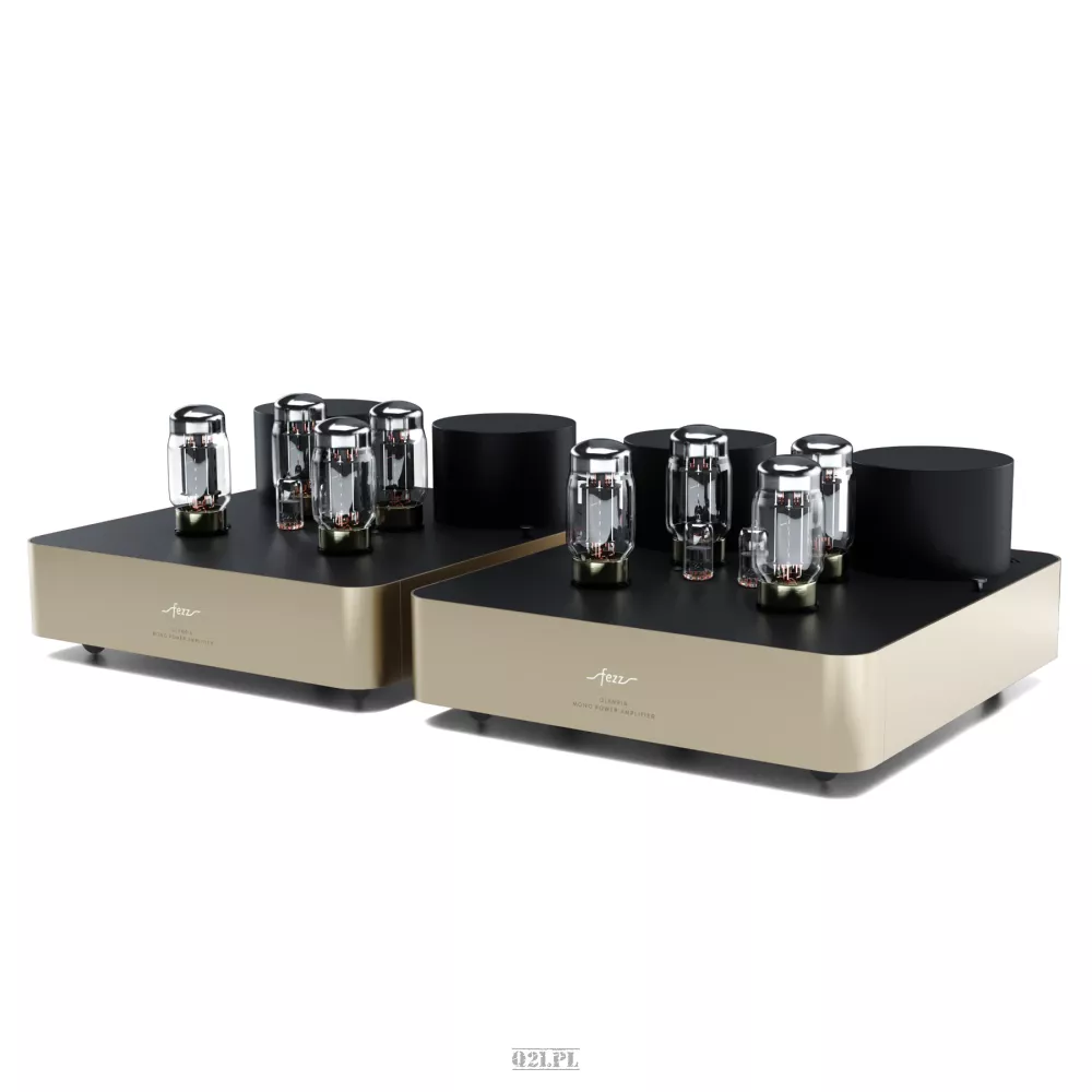 Fezz Olympia Mono Power Amplifier EVO (Sunlight)