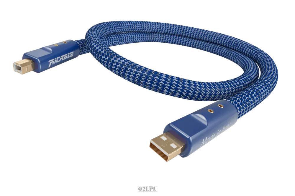 Ricable Invictus USB (0.5 m)