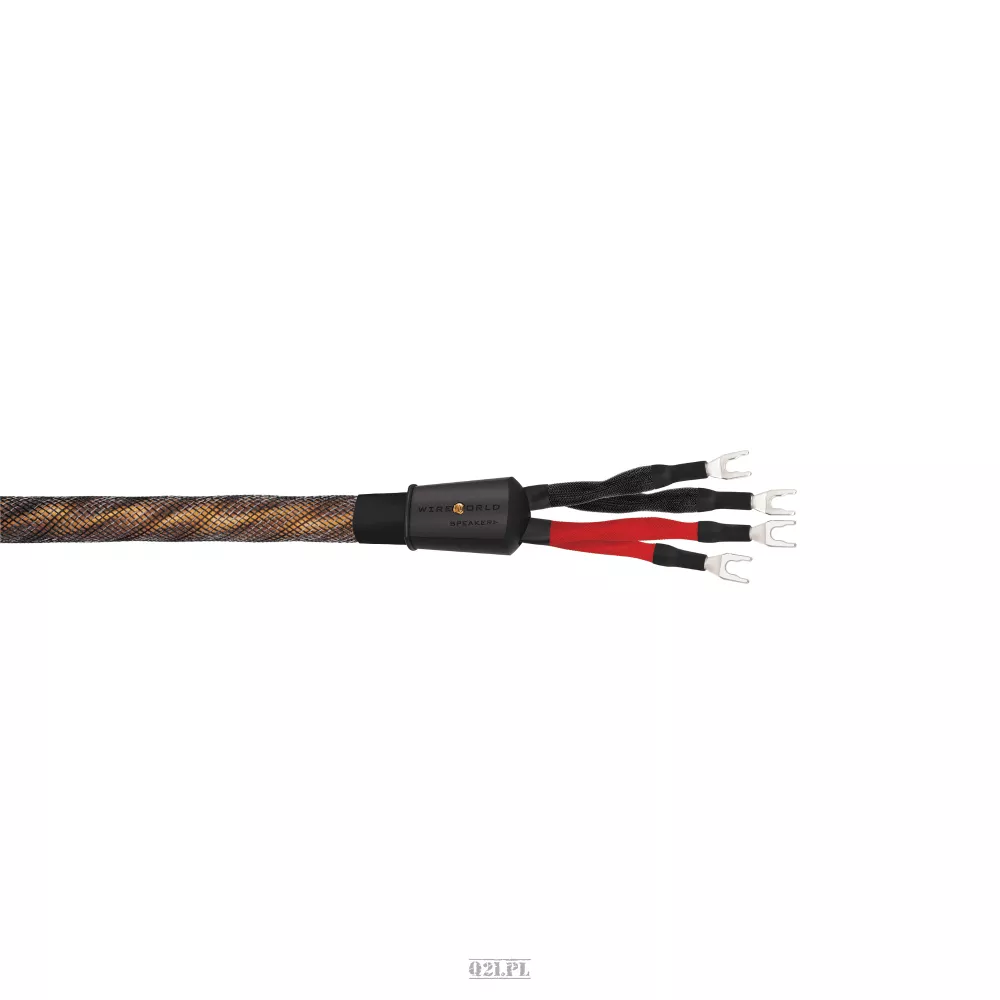 Wireworld Eclipse 10 (Bi-Wire) (ECB) 2x2.5m - Raty 20x0% lub specjalna ...