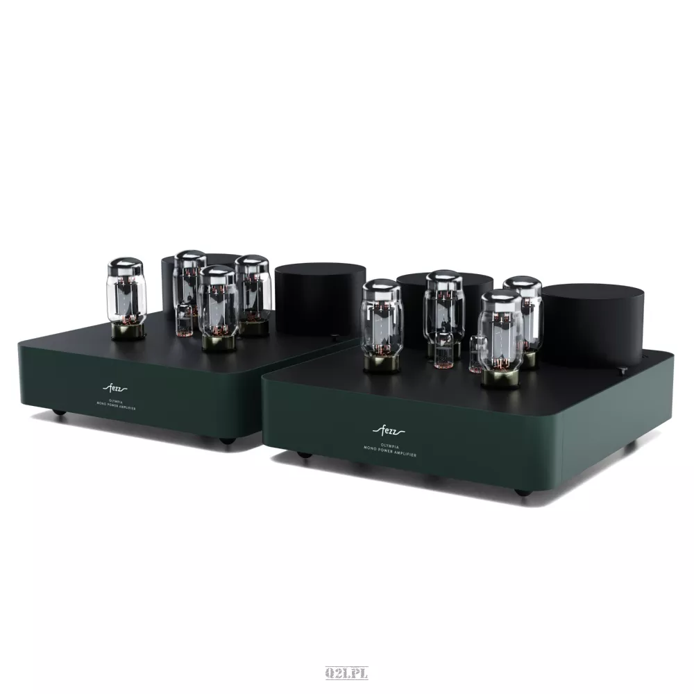 Fezz Olympia Mono Power Amplifier EVO (Evergreen)
